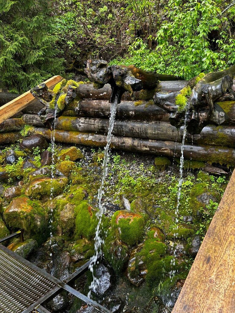 Pınar, çay Spring, stream, Moskova ve Moskovskaya oblastı, foto