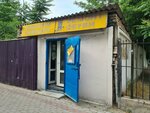 Shoe Repair (Shymkent, Ganı Iláev kóshesi), ayakkabı tamiri  Çimkent'ten (Şımkent'ten)