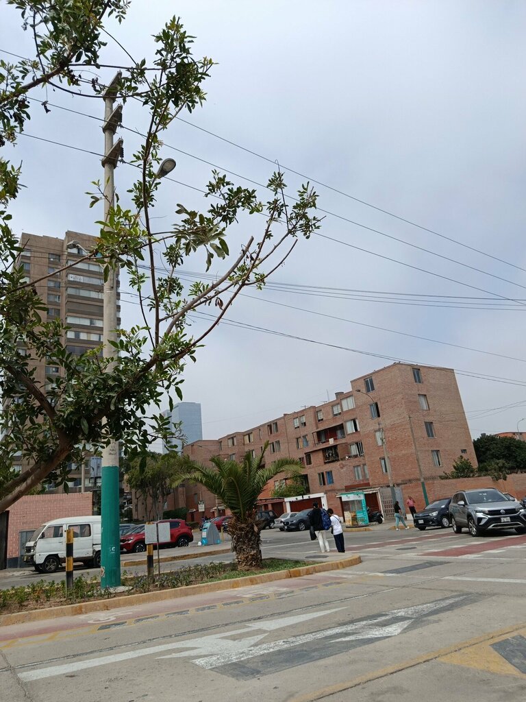 Zabıta Seguridad ciudadana, Lima, foto