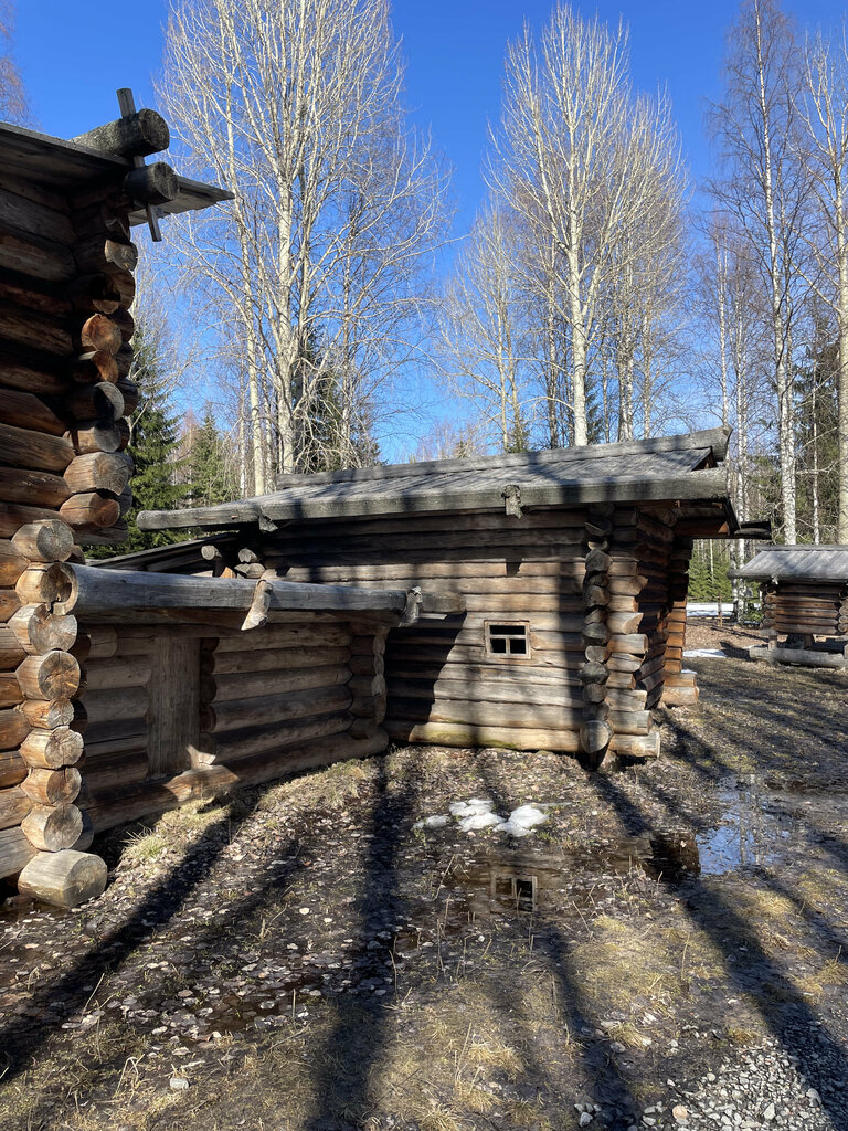 Turistik yerler Дом-двор М.В. Первышина, Arhangelskaya oblastı, foto