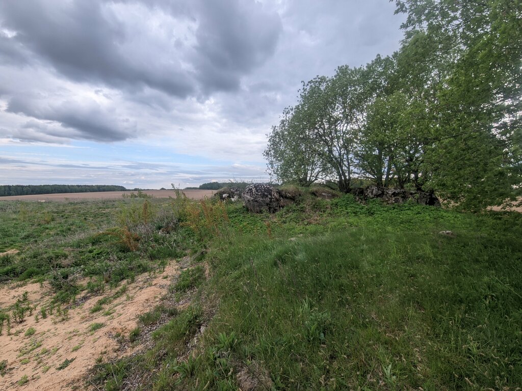 Turistik yerler ДОТ № 59, Minskaya oblastı, foto