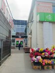 Оптика (Lenina Street No:133), optik  Cherepovets'ten