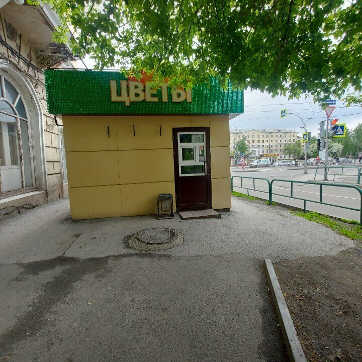 Çiçekçiler Ботаника, Novokuznetsk, foto