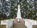 Землякам (ulitsa Kuchinskogo No:64, vioska Čamiaryn), anıt, heykel  Brestskaya oblastından