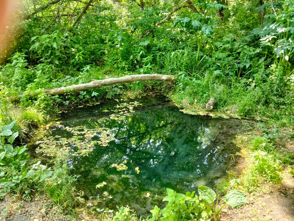 Pınar, çay Святой источник Николая Чудотворца, Ostrogojsk, foto