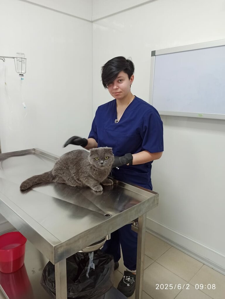 Veteriner klinikleri Добрый Доктор, Krasnodarski krayı, foto