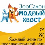 Модный хвост (Volodarskogo Street No:77), evcil hayvan kuaförleri  Orehovo‑Zuyevo'dan