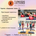 Гармония (ulitsa Chekhova No:3А), fitness kulüpleri  Lobnia'dan