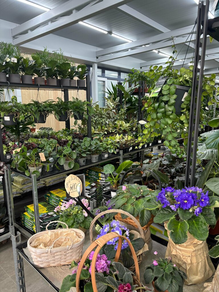 Çiçekçiler Domenika Flowers, Krasnodar, foto