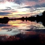 Озеро Калиновое (Novosibirskiy District, Krivodanovskiy selsovet), balık çiftçiliği ve toptancıları  Novosibirskaya oblastından