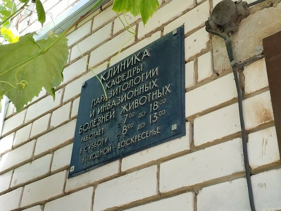 Veteriner klinikleri Вгавм, клиника кафедры паразитологии и инвазионных болезней животных, Vitebsk, foto