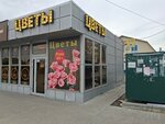 Магазин цветов (Trudovaya ulitsa No:16), çiçekçiler  Engels'ten
