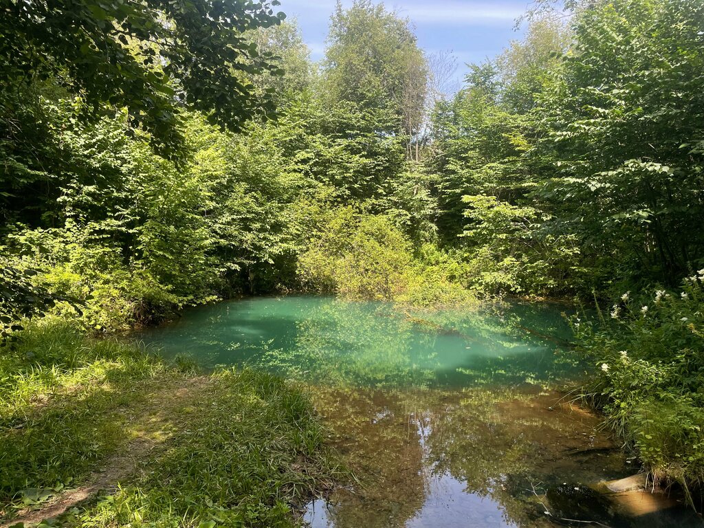 Pınar, çay Spring, stream, Başkurdistan, foto