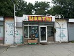 Цветы (Russkaya Street No:40В), çiçekçiler  Vladivostok'tan