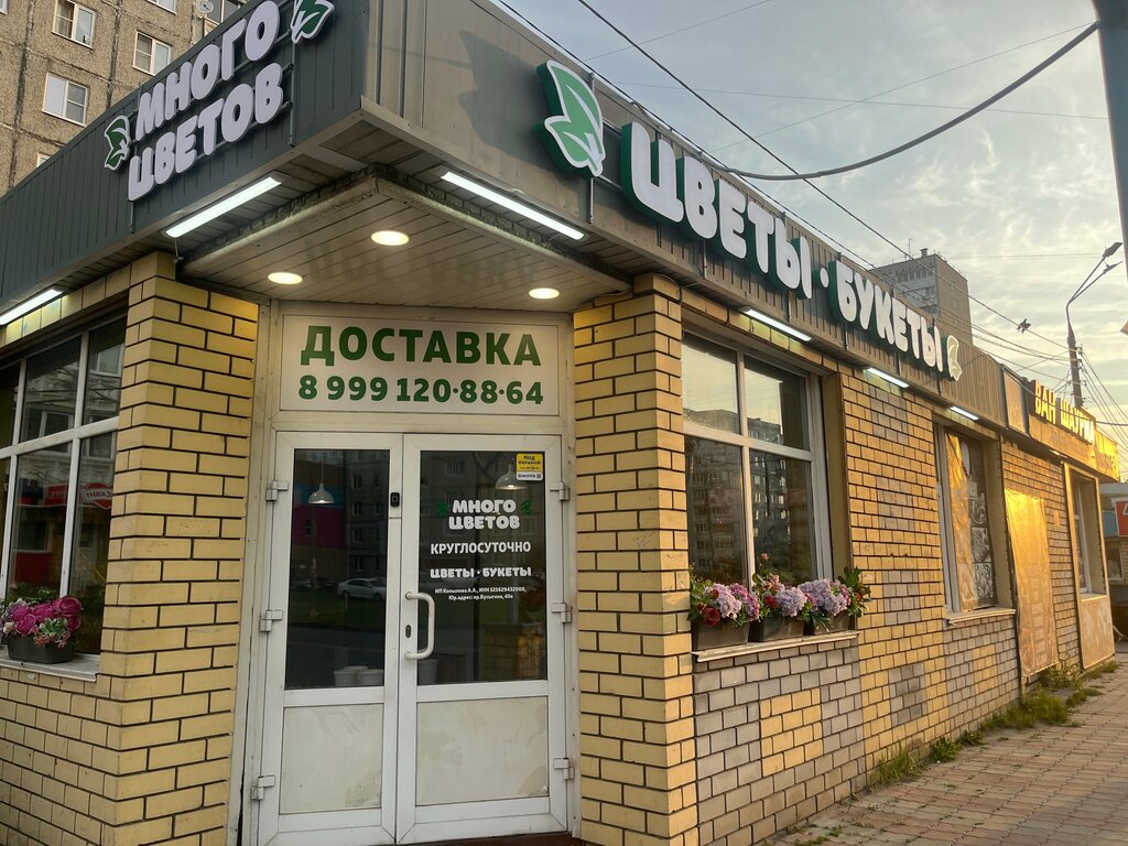Çiçekçiler Много Цветов, Nijni Novgorod, foto