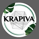 Krapiva (ulitsa Lomonosova No:52), çiçekçiler  Jirnovsk'tan