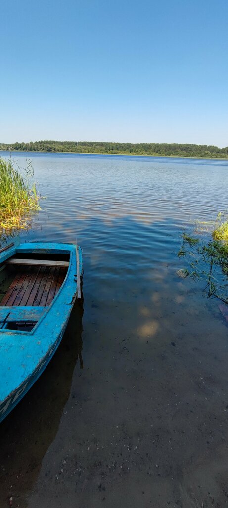 Plaj Пляж, Smolenskaya oblastı, foto