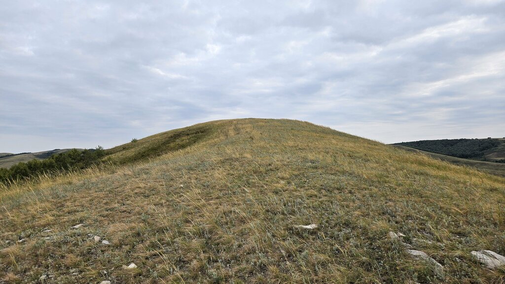 Dağ zirvesi Гора Школьная 304 метра, Başkurdistan, foto