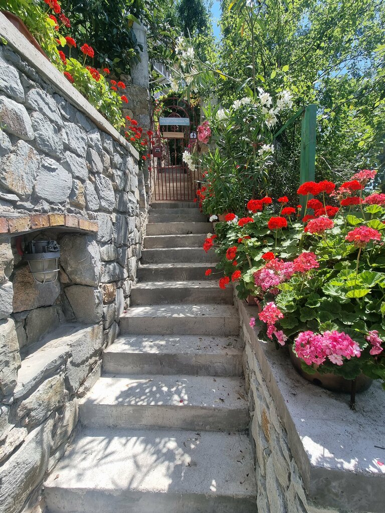 Konuk evi Юсуповский Мисхор, Kırım Cumhuriyeti, foto