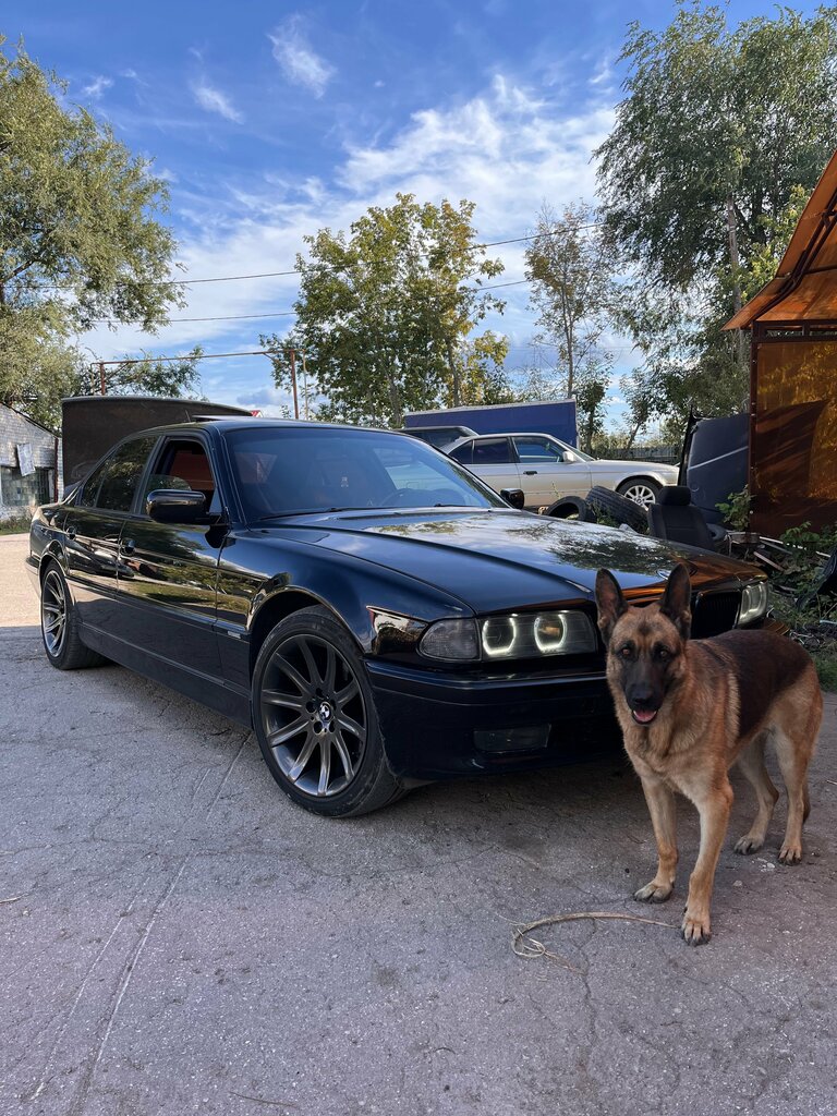 Çıkma yedek parça Bavaria on the Volga, Samara, foto