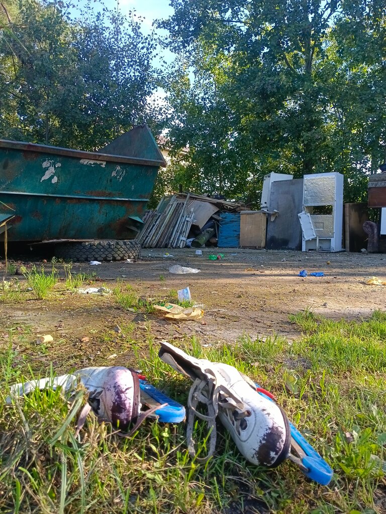Çöp alanları Trash and garbage disposal area, Saint‑Petersburg ve Leningradskaya oblastı, foto