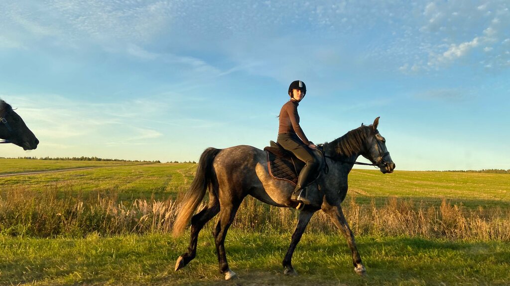 At ve binicilik kulüpleri Частная конюшня Буцефал, Mariy El Cumhuriyeti, foto