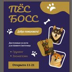 Pet store Пёс Boss (Pulkovskoe Highway No:71к2), petshop  Saint‑Petersburg'dan