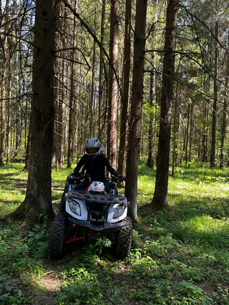 Kiralama noktası Kvadro boom arenda, Moskova ve Moskovskaya oblastı, foto