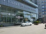 Groom Studio by Kate (Sherif Khimshiashvili Street No:47A), evcil hayvan kuaförleri  Batum'dan