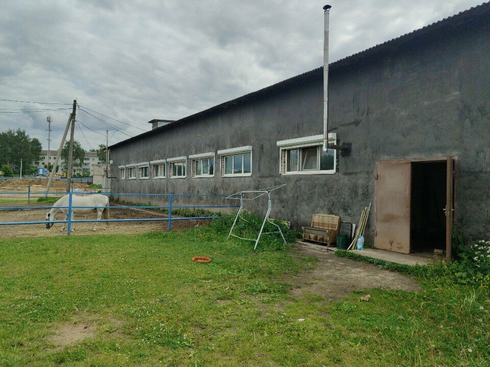 At ve binicilik kulüpleri Траверсале, Tver, foto