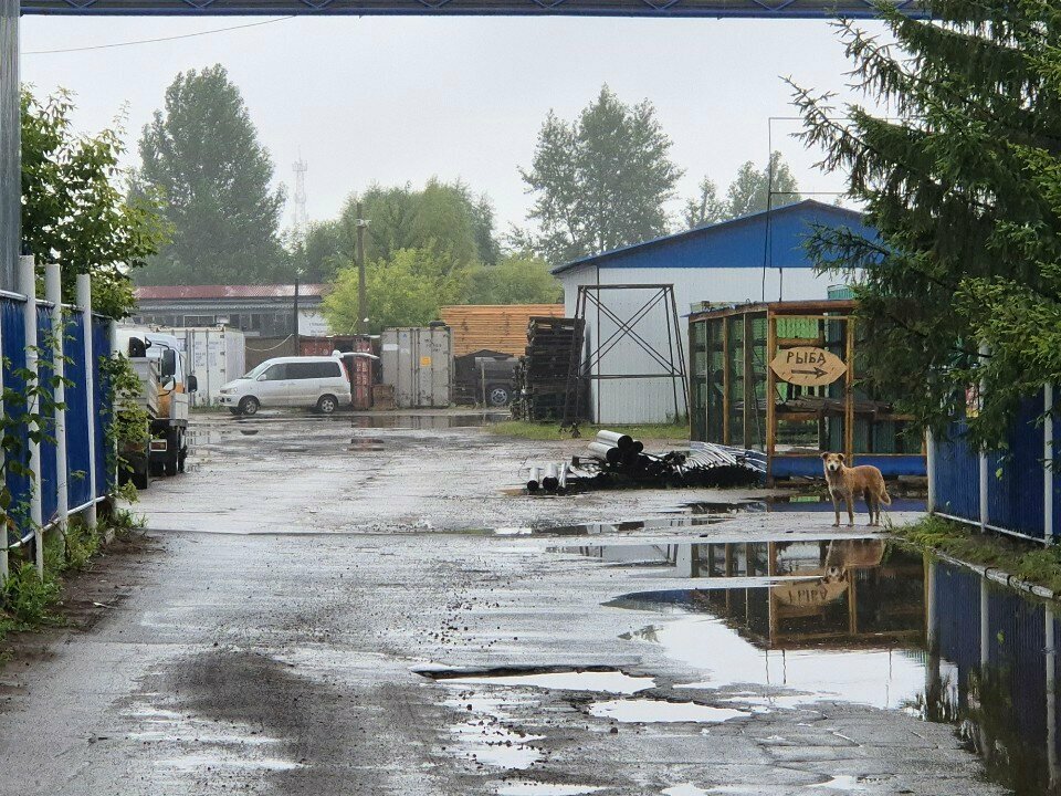 Balık ve deniz ürünleri Бриз, Omsk, foto