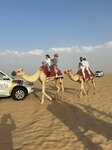 Royal Adventure Travel & Tourism, company (The Walk, Dubai), geziler  Dubai'den