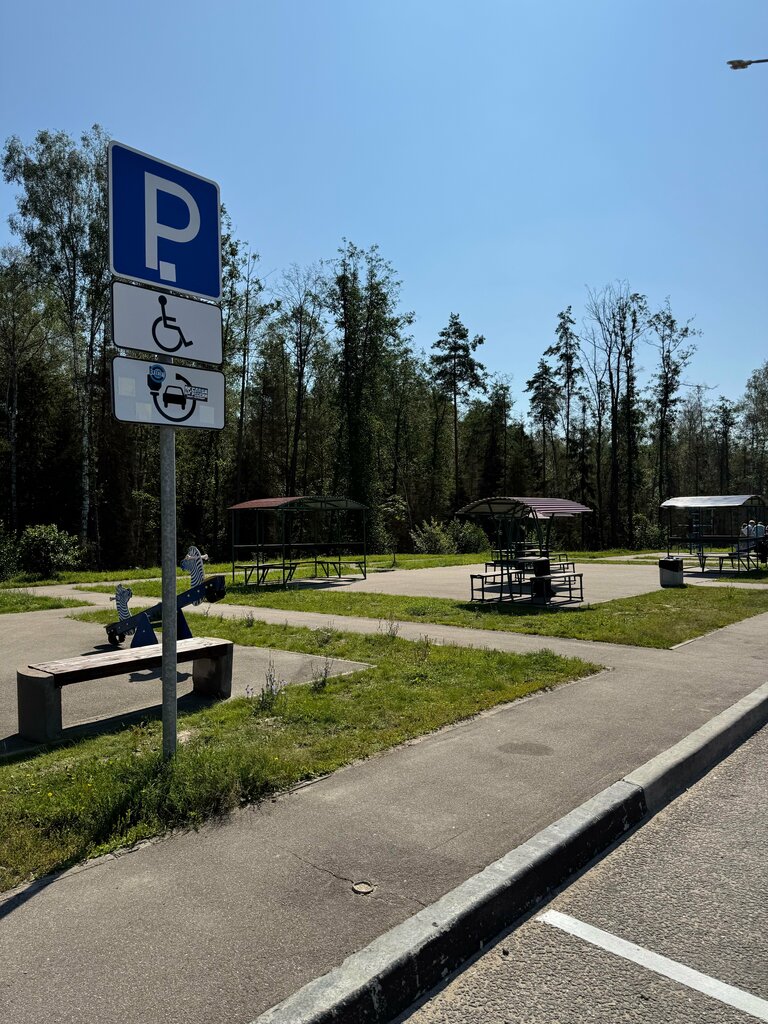 Yol kenarı dinlenme alanı Придорожная зона отдыха, Moskova ve Moskovskaya oblastı, foto