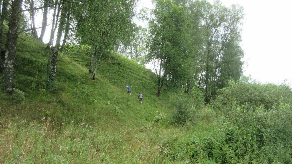 Turistik yerler Городище Осовик, Brianskaya oblastı, foto