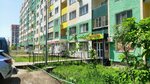 Almas (No:341/2к8, Nauryzbai City Administrative District, Shuǵyla shaǵyn aýdany), market  Almatı'dan