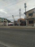 Automotriz Vito Import (Santa Cruz de la Sierra, Distrito Municipal 10, Subdistrito 108, California), giyim mağazası  Santa‑Krus'tan