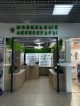 Ama (Internatsionalnaya Street No:76), cep telefonu aksesuarları  Kaliningrad'dan