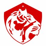 White Tiger (Tkachey Street No:7/8), spor okulları  Kostroma'dan