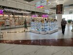 Gatti (Vavilova Street No:3), optik  Moskova'dan