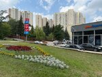 Ларго (Lunnaya ulitsa No:28), konut servisleri kuruluşları  Saratov'dan
