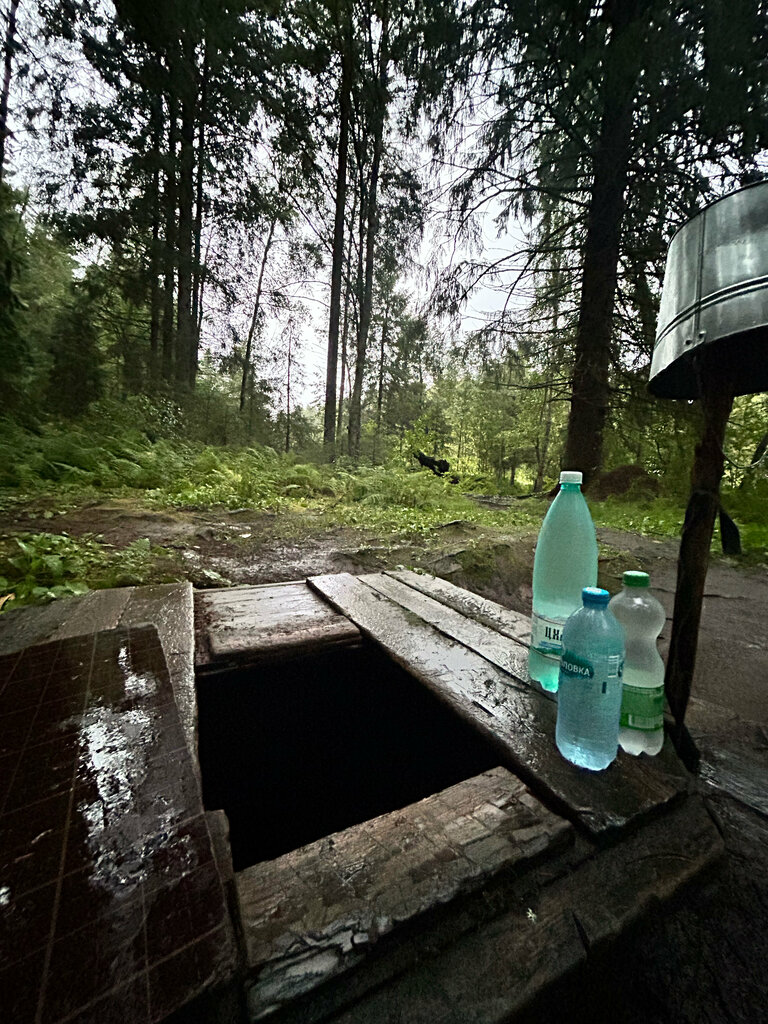 Pınar, çay Spring, stream, Karelya, foto