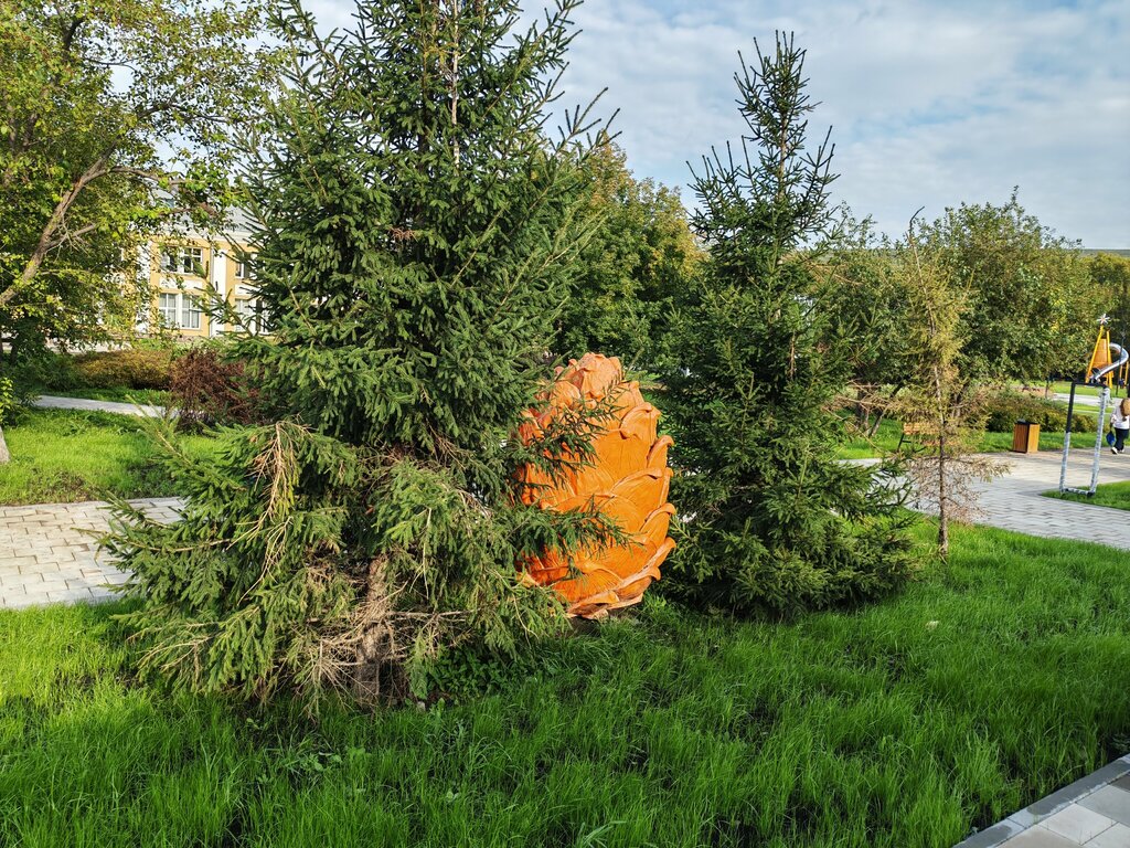 Dekorasyon ve süsleme, onur panosu Оранжевая шишка, Krasnoyarsk, foto