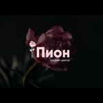 Пион (ulitsa Lenina No:17), çiçekçiler  Aznakayevo'dan (Aznakay'dan)