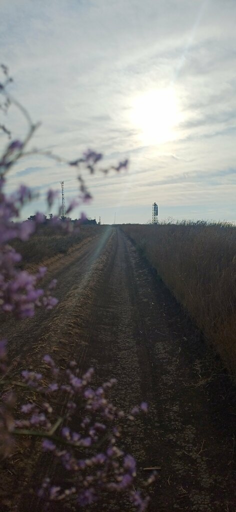 Mühendislik altyapısı Трансформаторная подстанция № ЧМ-3-824П, Krasnodarski krayı, foto