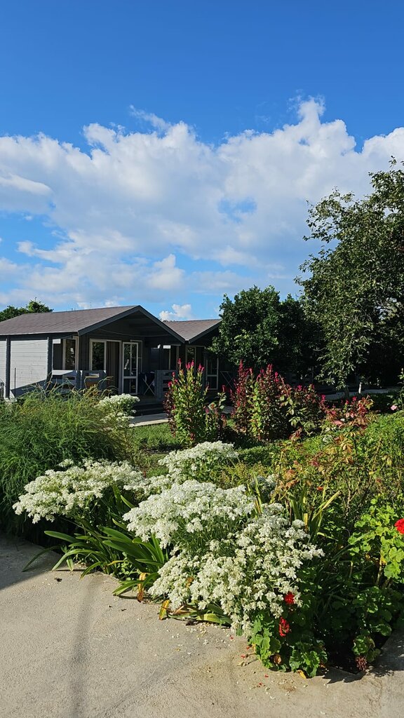 Otel Daniella Guest House, Gagra Bölgesi, foto