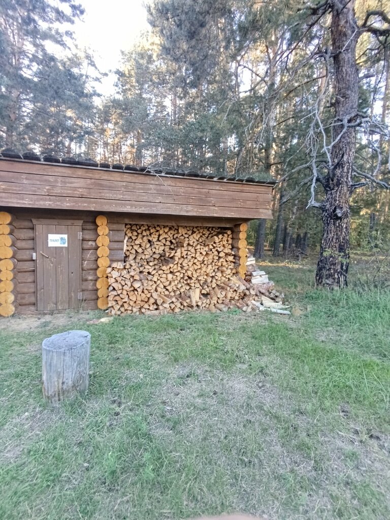 Tatil altyapısı Место отдыха Чайка, Mordovya, foto