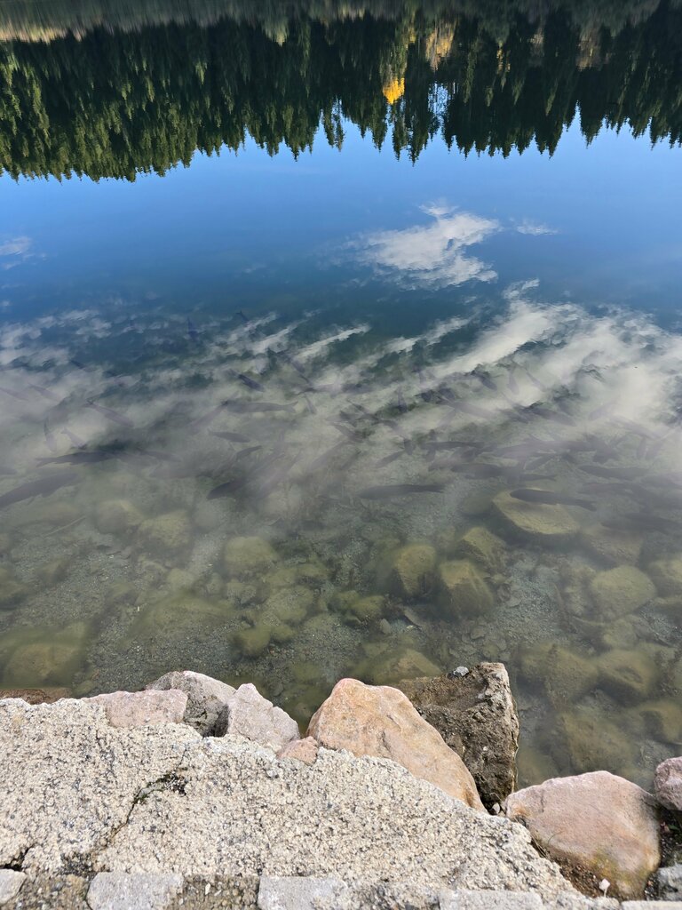 Turistik yerler Karagöl-Şavşat, Şavşat, foto