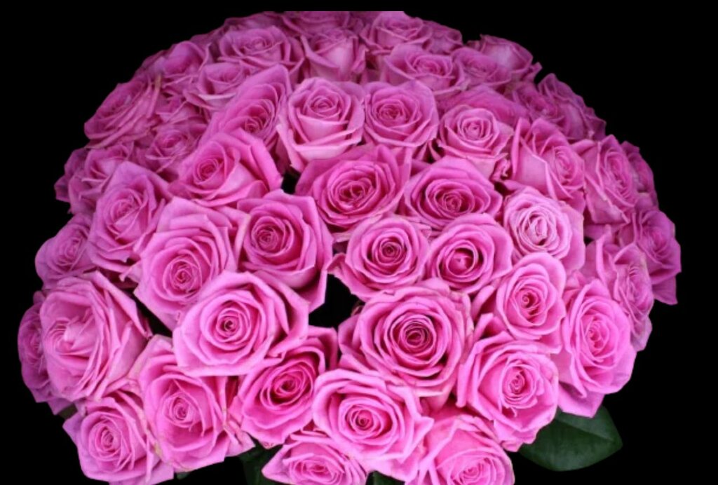 Kutlama ürünleri Armballoon1, Moskova ve Moskovskaya oblastı, foto