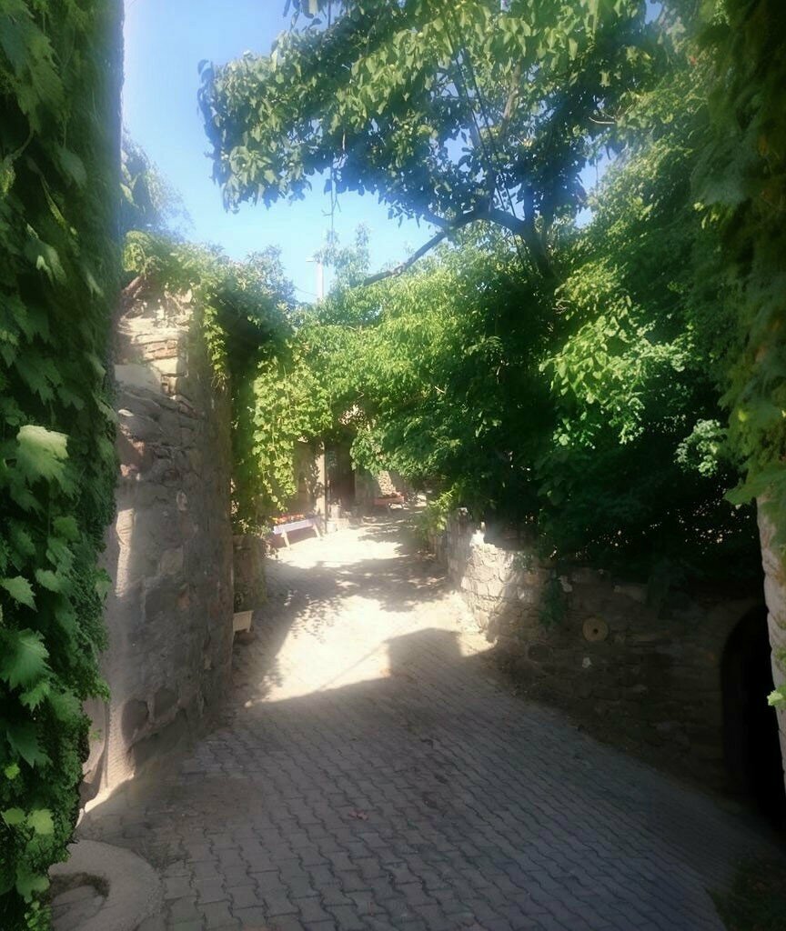 Muhtarlıklar Küçükçetmi Köy Muhtarlığı, Ayvacık, foto