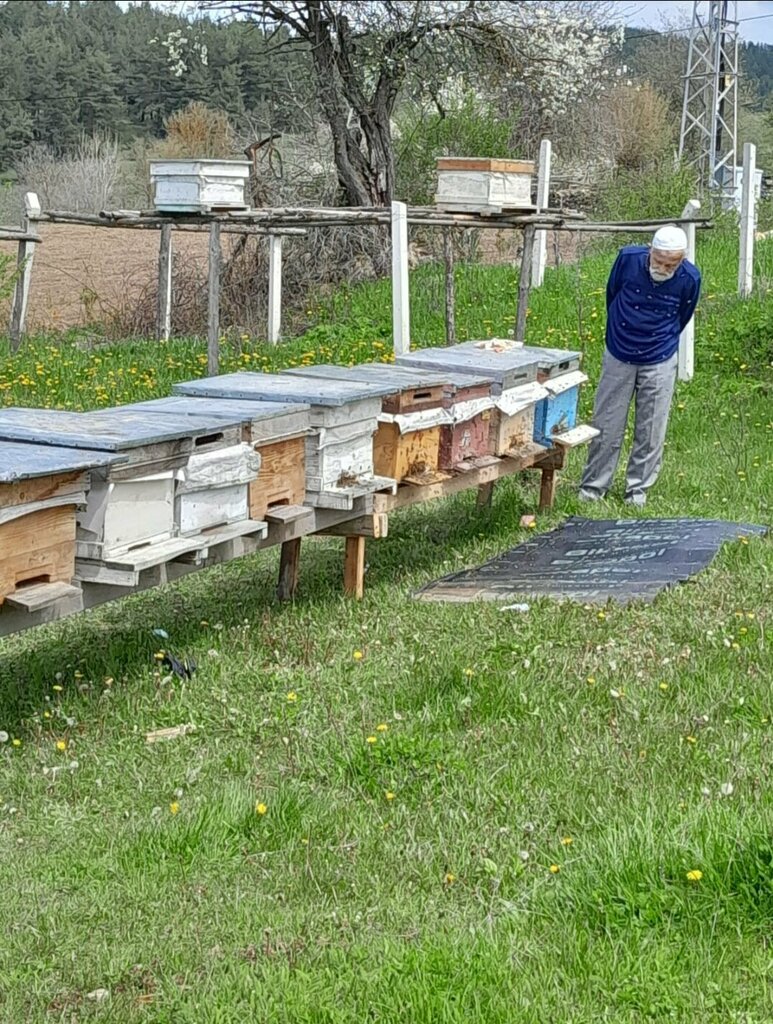 Muhtarlıklar Sorkuncuk Köy Muhtarlığı, Daday, foto